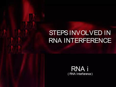Rna Interfernce Ppt Ppt