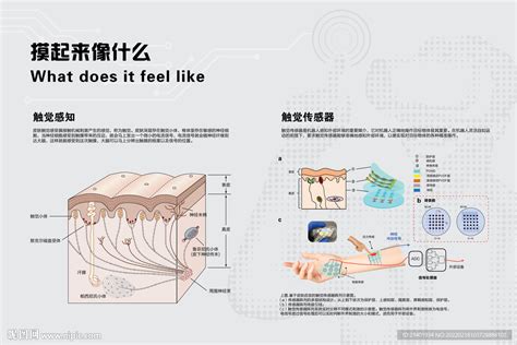 触觉感知触觉传感器科技馆图文版设计图 学习用品 生活百科 设计图库 昵图网