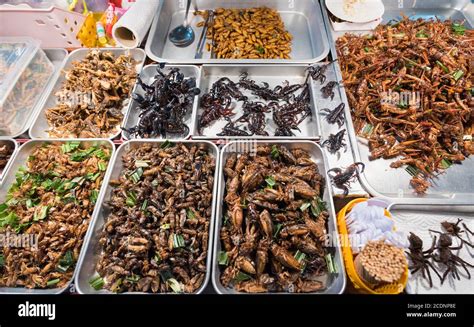 Cambodian Food Spiders