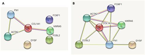 Combined Single Cell Bulk RNA Sequencing And Proteomics Analysis Reveals New Candidate Targets