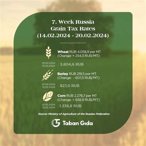Tabangıda Tahıl Buğday Arpa Mısır Rusyatahılvergisi Grain Wheat Barley Corn Taxrates