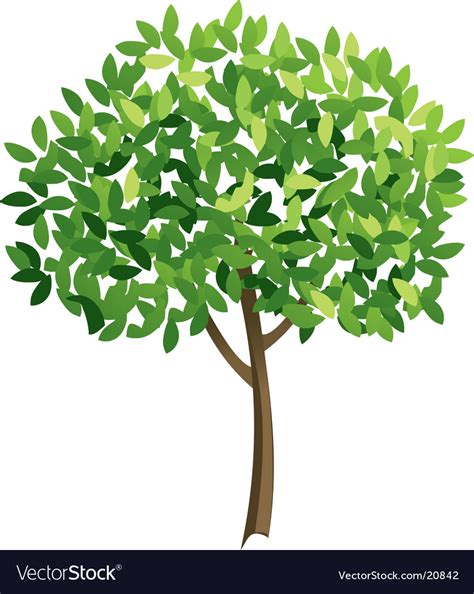 Tree With Leaves Royalty Free Vector Image Vectorstock