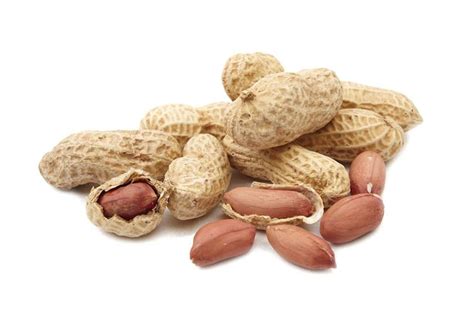 Researchers Say They Have Invented Non Allergenic Peanuts The