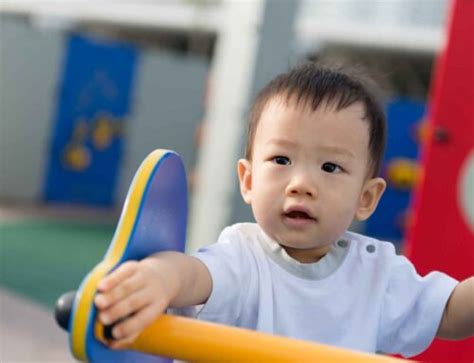 Understanding Developmental Assessment A Comprehensive Guide Orbrom