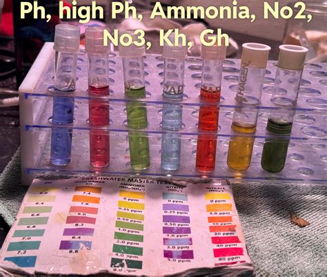Testing My Crap Tap Water With Api Test Kit Raquariums