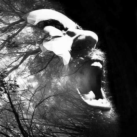 Erman Erim Concert And Tour History Concert Archives