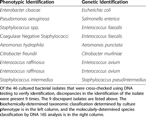 Discrepant Results Between Bacterial Isolate Identification By