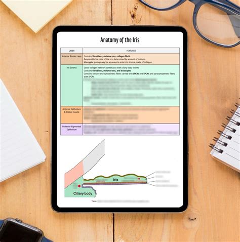 This Item Is Unavailable Etsy