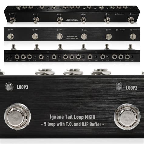 One Control スイッチャーiguana Tail Loop Mkiii 5 Loop With To And Bjf