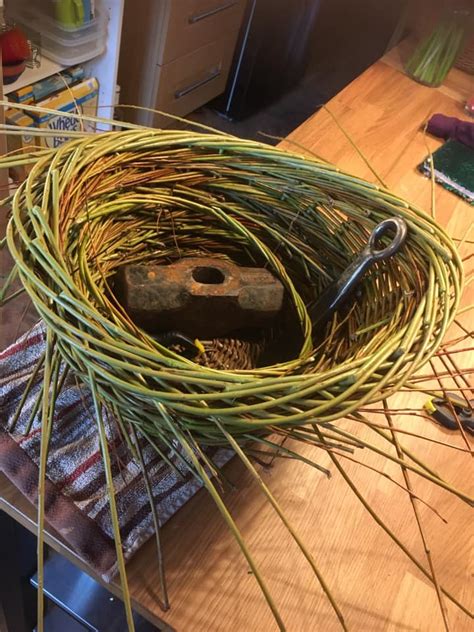 Mortimer Willow Mortimer Willow Added A New Photo