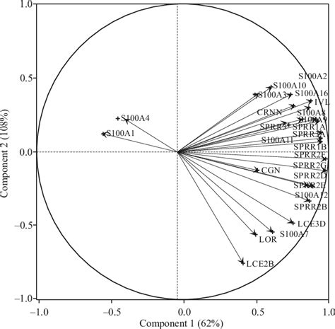 Principal Component Analysis Of Gene Expression Values In The Whole Download Scientific Diagram