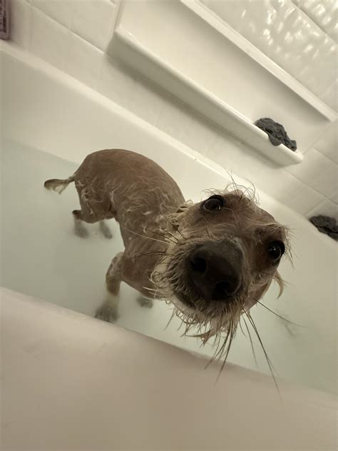 Water Cryptid Scrolller