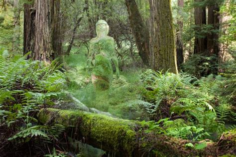 Translucent Beings Cosmick Traveler