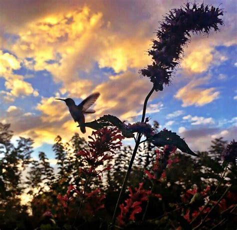 Irrigator Tech Training Irrigator Tech Training School