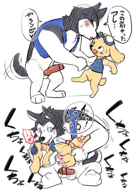 Rule 34 2017 Animal Genitalia Animal Penis Canine Canine Penis Cum