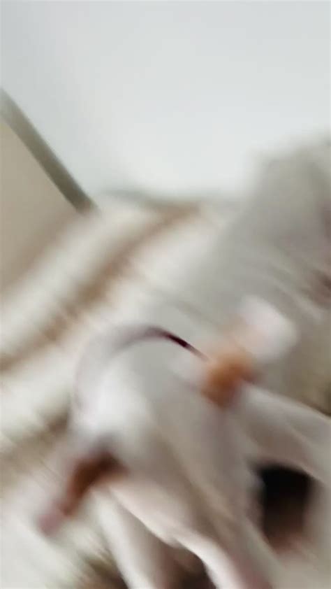 Sheila Bugal Wave Wizard Sheilabugal Twitter