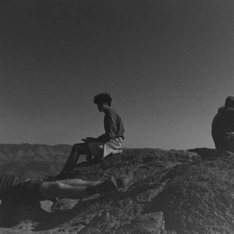 Trees Demo Jonathan Mcsweeney