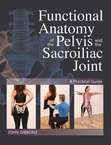 Functional Anatomy Of The Pelvis And The Sacroiliac Joint Ebook De John