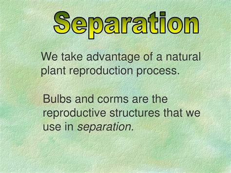 Ppt Asexual Propagation Separation And Division Powerpoint