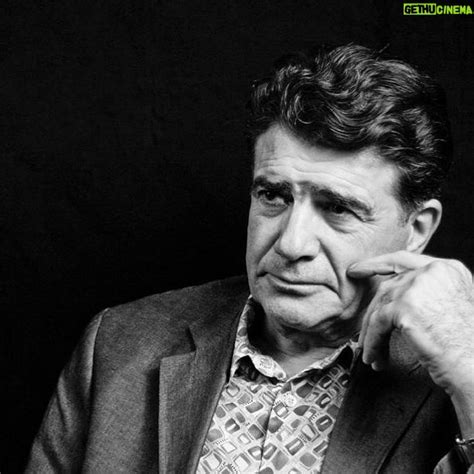 Alireza Ghorbani Wiki Biography Age Gallery Spouse And More