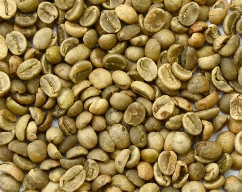 Sawarga Greenbean Coffee Robusta Grade 2 Inaexport