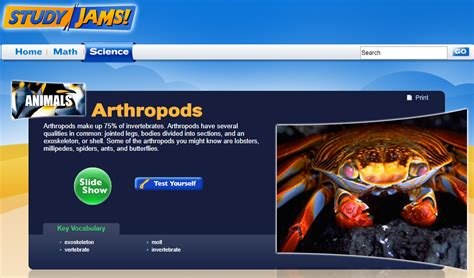 Study Jams Arthropods Interactive For 4th 8th Grade Lesson Planet
