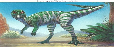 Qantassaurus By Dinosauriaca On Deviantart