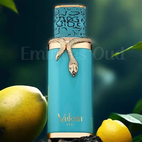 Vulcan Feu Perfume 100ml Edp French Avenue