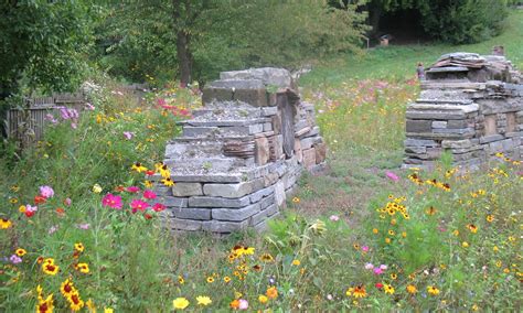 Ecologically Informed Planting The Design Process 02 And 09 March