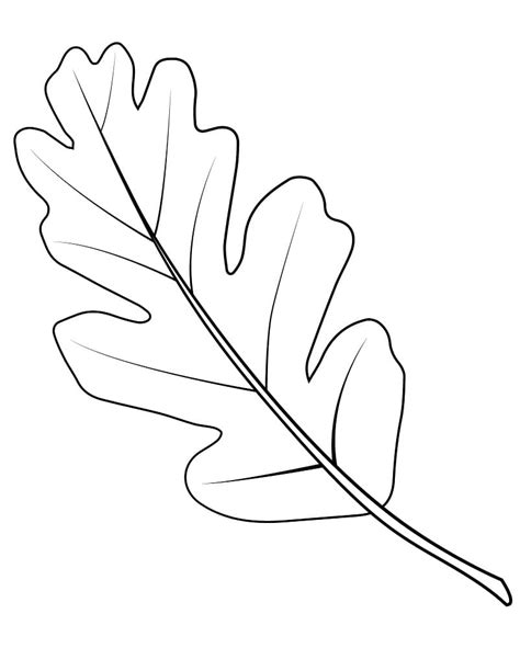 Printable Oak Leaf Coloring Page Download Print Or Color Online For Free