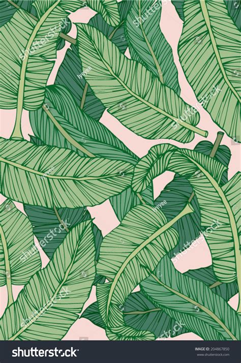 Banana Leaf Vectorillustration Stock Vector 204867850 Shutterstock