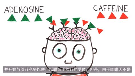 蝌蚪五线谱 专注做权威、有趣、贴近生活的互联网科学传播