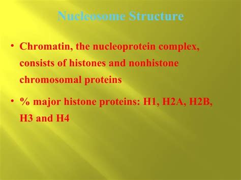 Structure Of Nucleic Acid Ppt