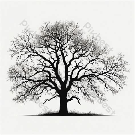 Collection Of Assorted Trees Png Images Png Free Download Pikbest