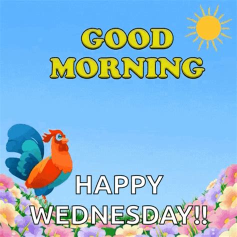 Wednesday Morning  S