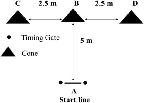 Modified T Test To Record Agility Download Scientific Diagram