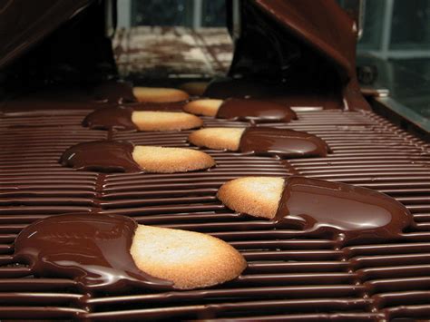 Chocolate Enrobing Machines Enrobers For A Uniform Chocolate Finish