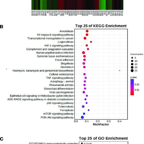 Bioinformatics Analysis Of Our Center Rna Sequencing Dataset A The