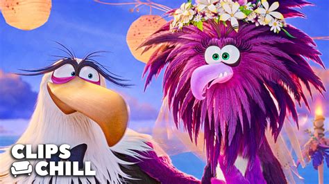 Zetas And Mighty Eagles Wedding The Angry Birds Movie 2 Youtube
