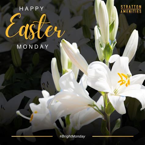 Hailey Mcnutt Posted On Linkedin