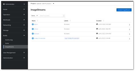 Using Rahti Integrated Registry Docs Csc