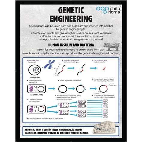 Genetic Engineering