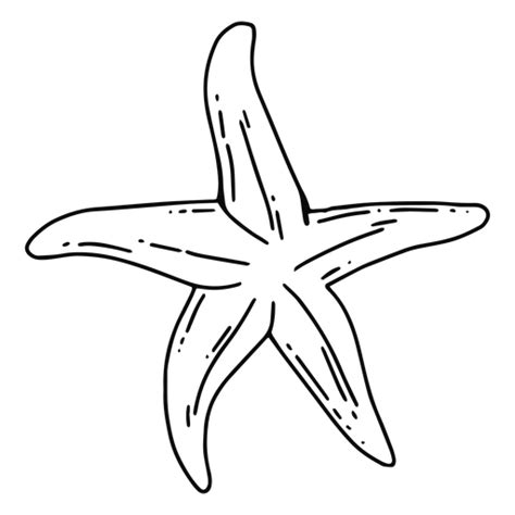 Seestern Schlaganfall Seestern Png Und Svg Design Für T Shirts