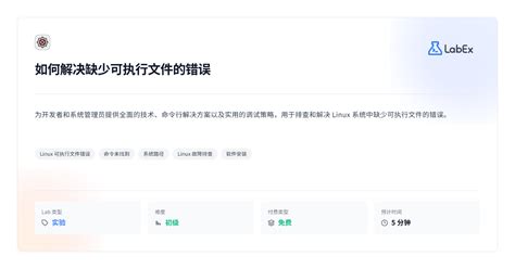 如何解决缺少可执行文件的错误 Labex