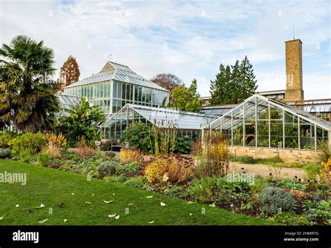 Greenhouses Growing Houses And Glass Houses Located In The Cambridge