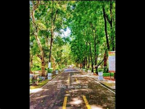 C W W Kannangara Central College Hunumulla School Road Youtube