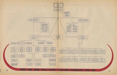 Organization Chart Of Civilian Defense Wwii