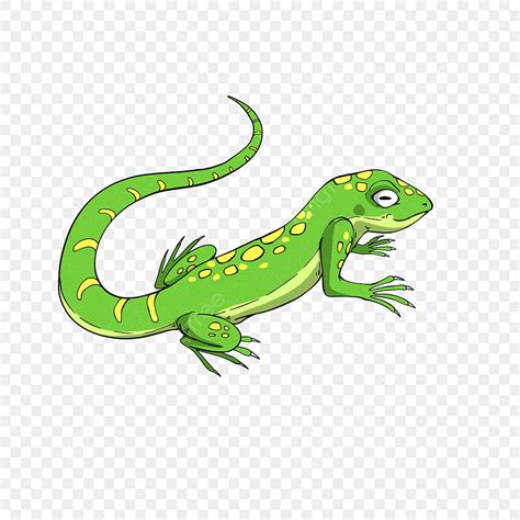 Desert Lizard Cartoon