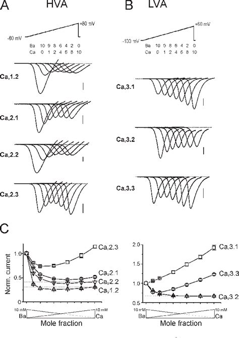Figure 1 From Molecular Determinant For Specific Caba Selectivity