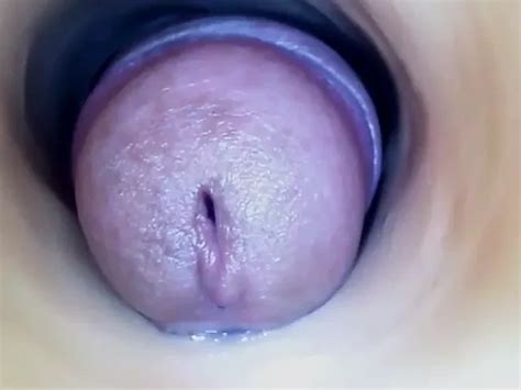 Earth Orbit A Sex Journey Alien Shemale Fucks A Horny Sex Slave In